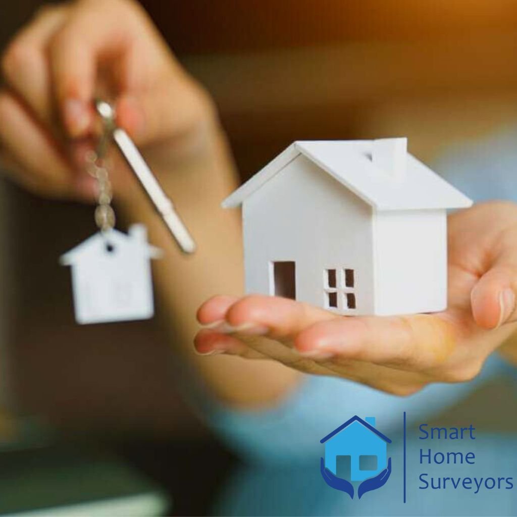 WHAT DOES A RICS LEVEL 2 SURVEY INCLUDE?